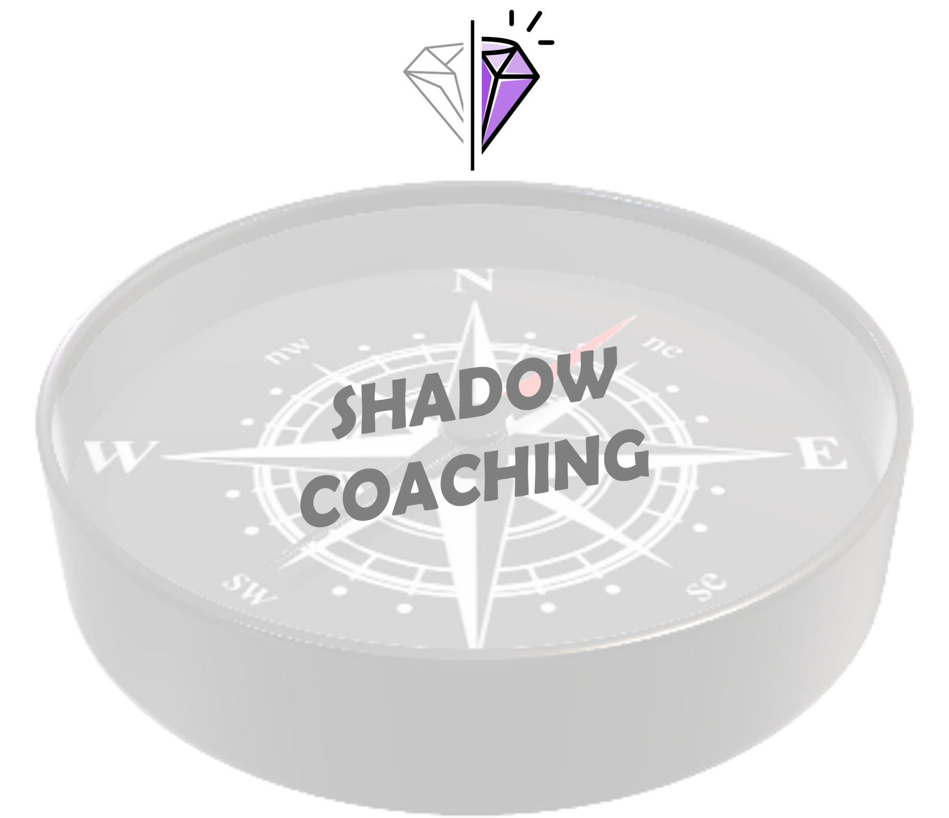 Coaching - General - Profecta BDI